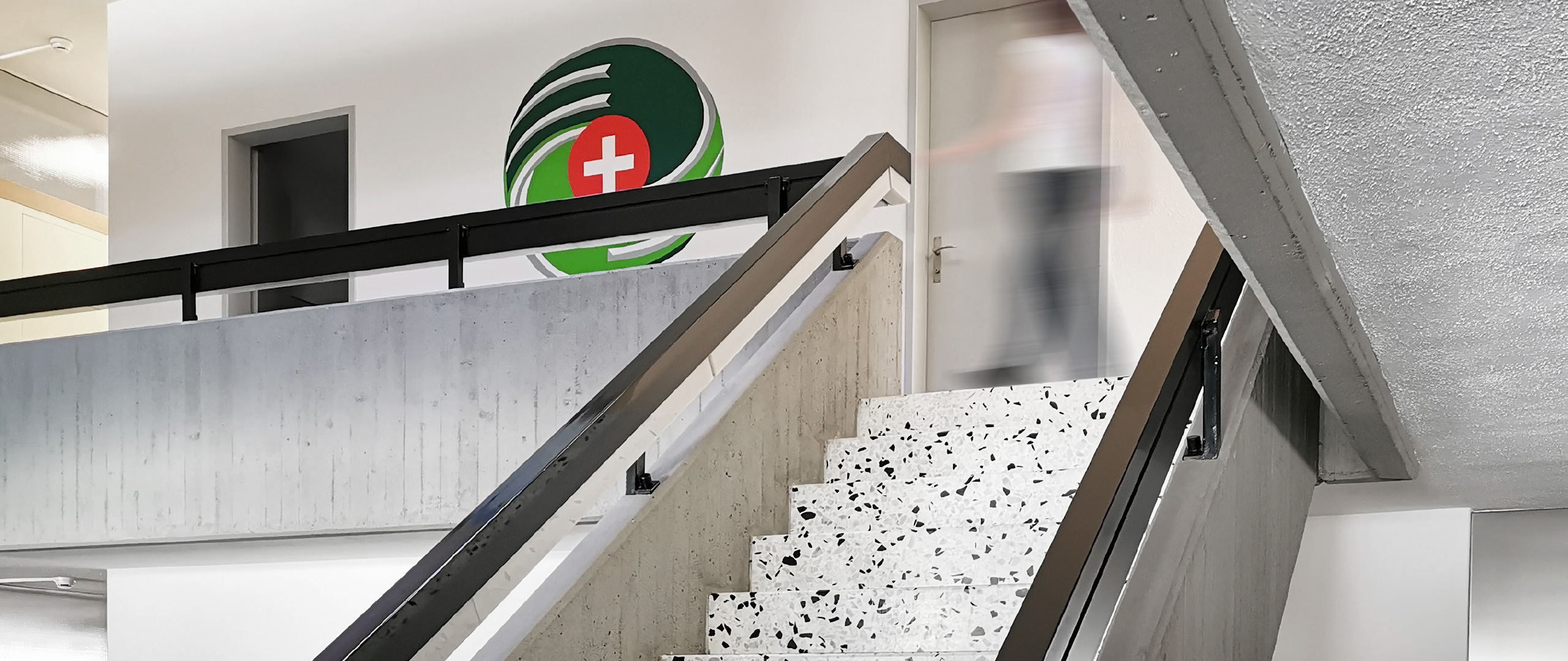 Verbandsportrait - VDMS